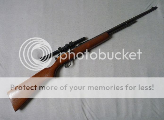 My Cooey Model 60 | Rimfire Central Firearm Forum