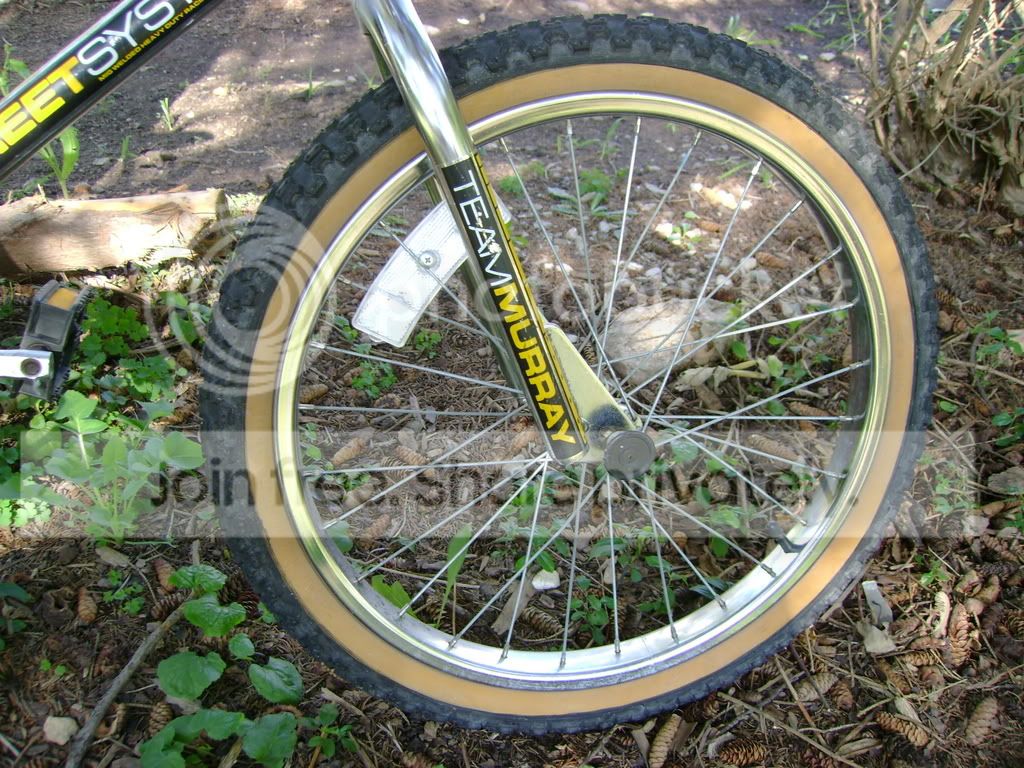 My Unrestored Team Murray 330. - BMXmuseum.com Forums