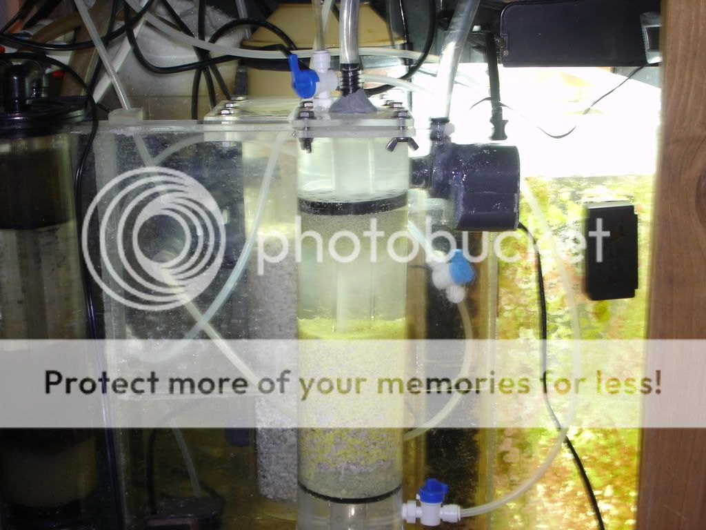 Denitrator? | Reef2Reef