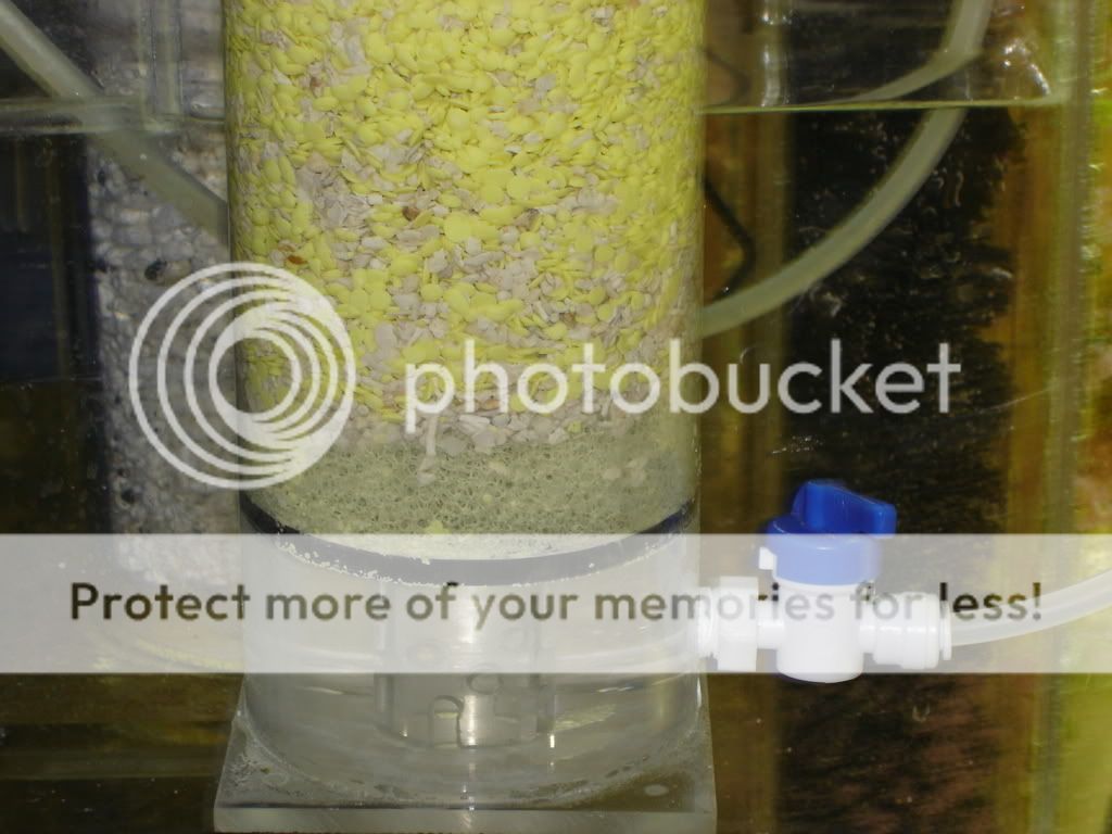 Denitrator? | Reef2Reef