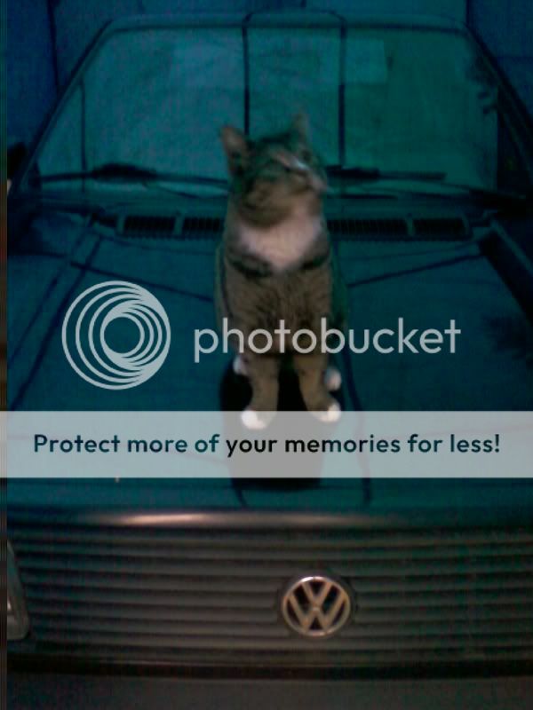 (LC5V) Trophy Pics | Page 3 | VW Vortex - Volkswagen Forum