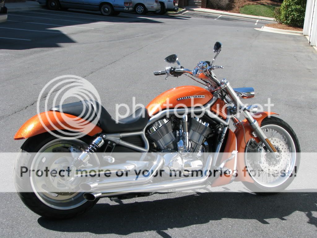 2008 VRSCAW - One of a kind | Harley Davidson V-Rod Forum