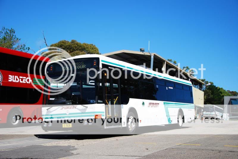 Forest Coach Lines Bustech CDI Tour